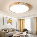 Modern LED Drum Flush Mount Ceiling Light in White Dimmable & Remote Control-Homary
