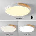 Modern LED Drum Flush Mount Ceiling Light in White Dimmable & Remote Control-Homary