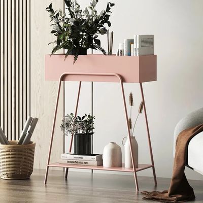 Pink Rectangular 2-Tier Plant Stand Indoors Display Shelf Storage ...