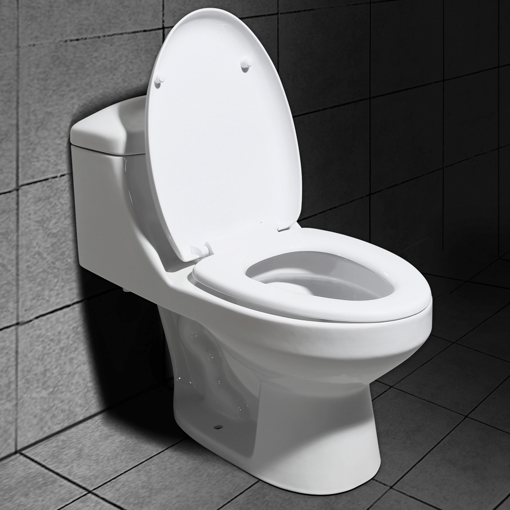 Modern Sleek - Inodoro compacto con tapa de cierre lento (0,8/1.6 GPF ...