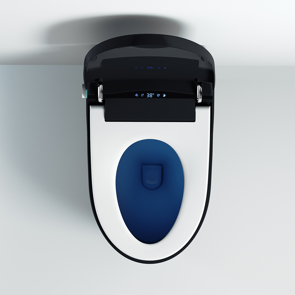 Einteilige längliche intelligente Toilette Bodenmontierte automatische ...