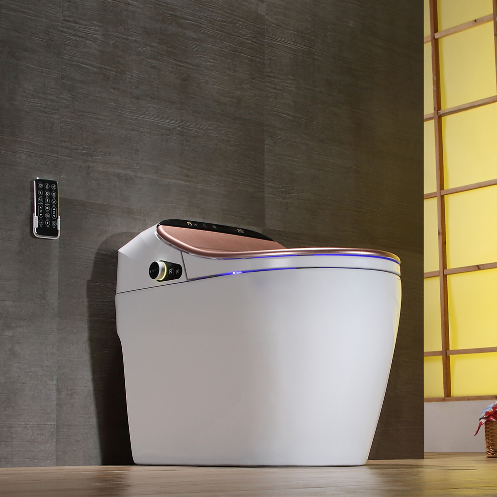 Modern Smart One-Piece 1.28 GPF Floor Mounted Elongated Toilet and ...