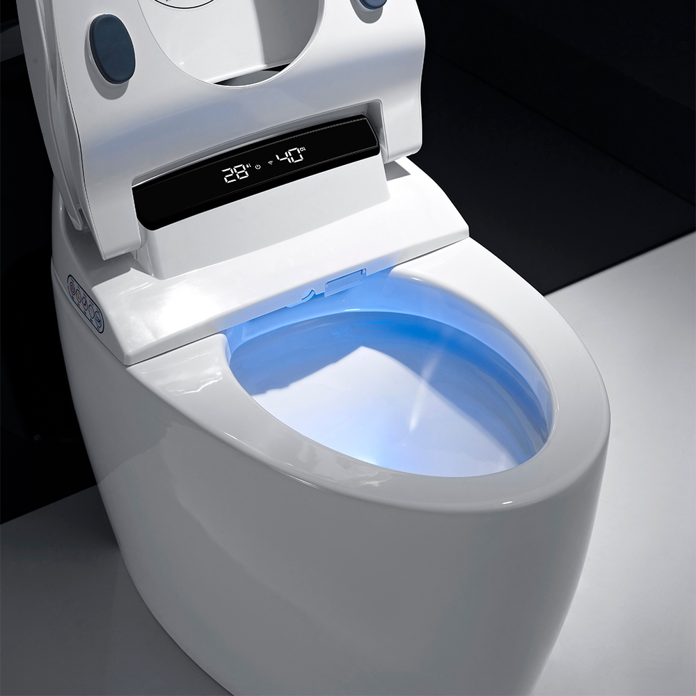 Modern Smart One-Piece 1.28 GPF Floor Mounted Elongated Toilet and ...