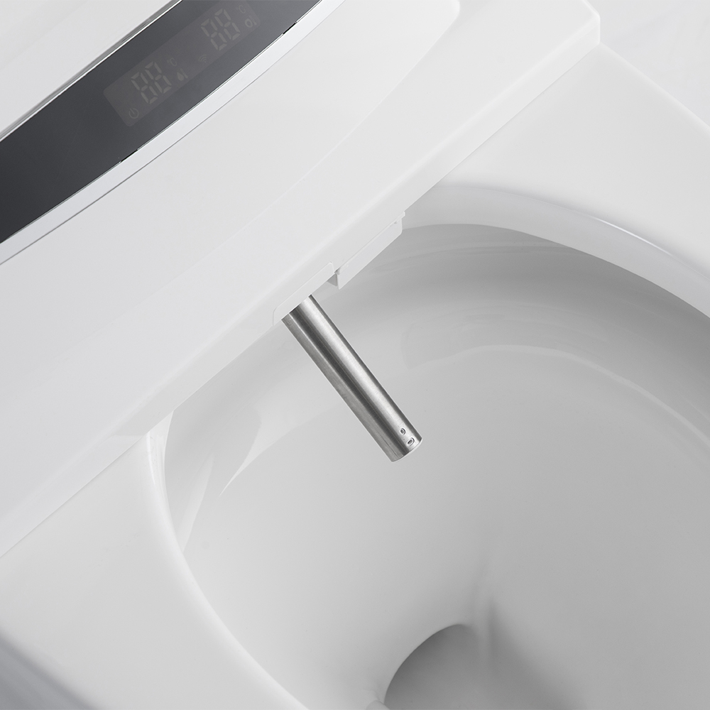 Modern Smart One-Piece Elongated Automatic Toilet & Bidet with Seat ...